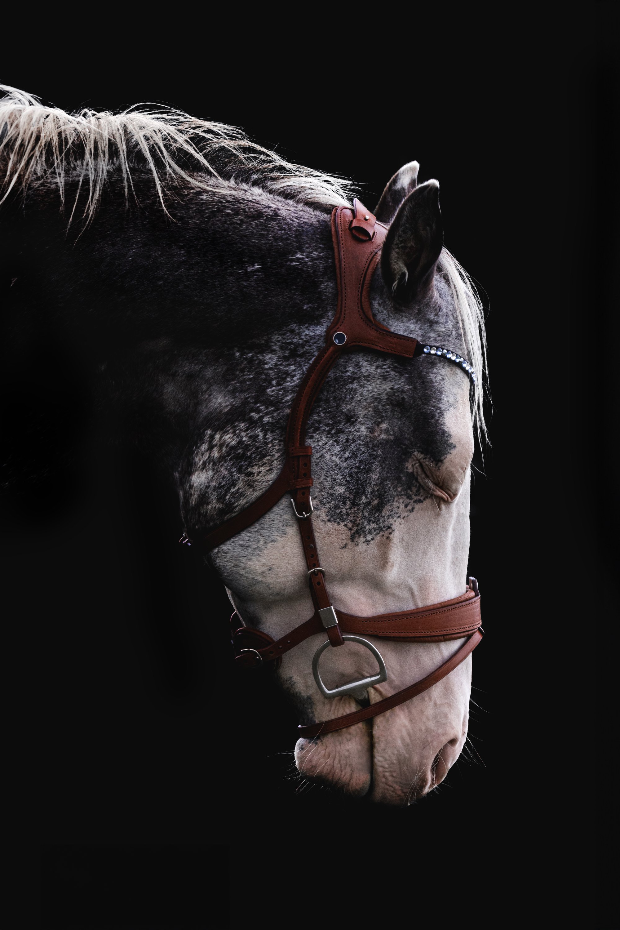 Freedom 2.0 - feel the difference