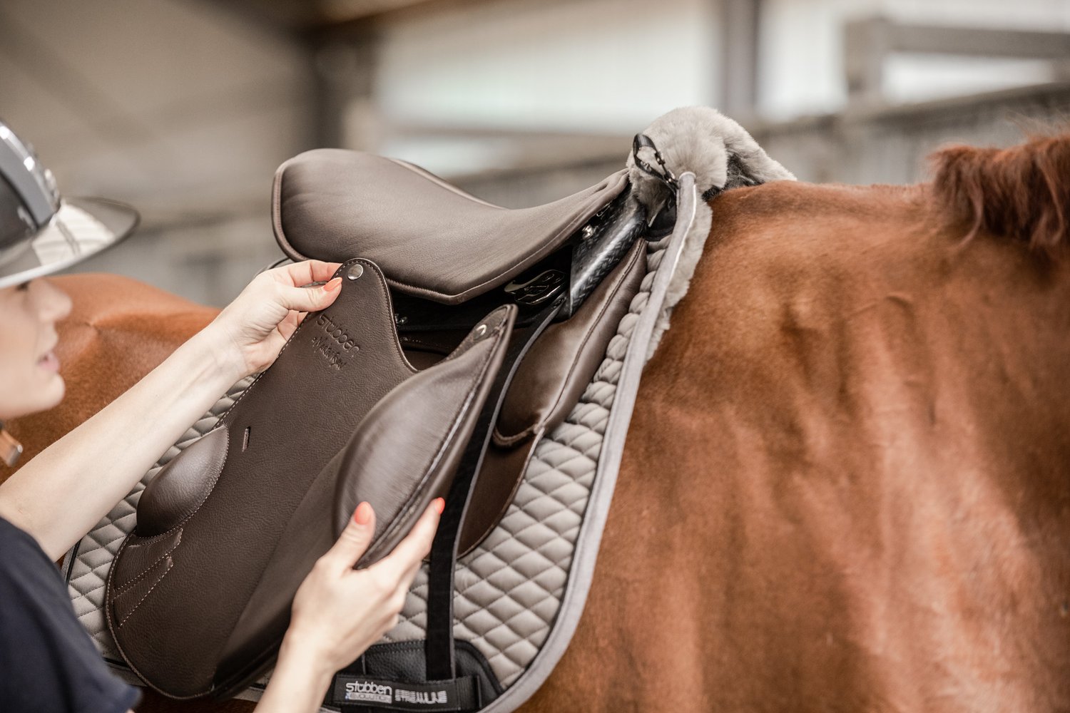 REV Stübben x Martin Ryan Saddle